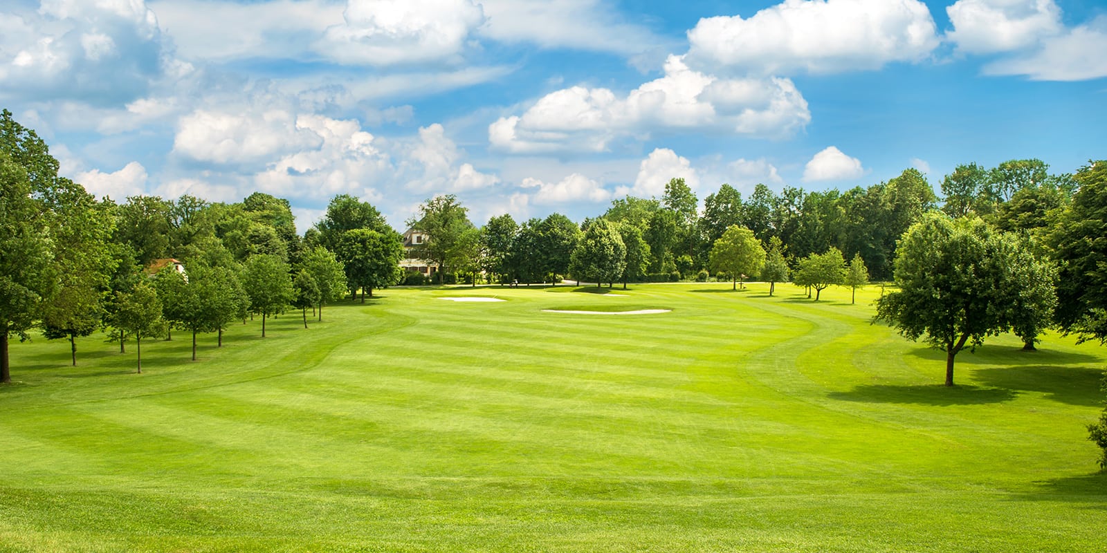 About Motorised Ride-on & Electric Walker Golf Buggies - Parmaker Golf ...